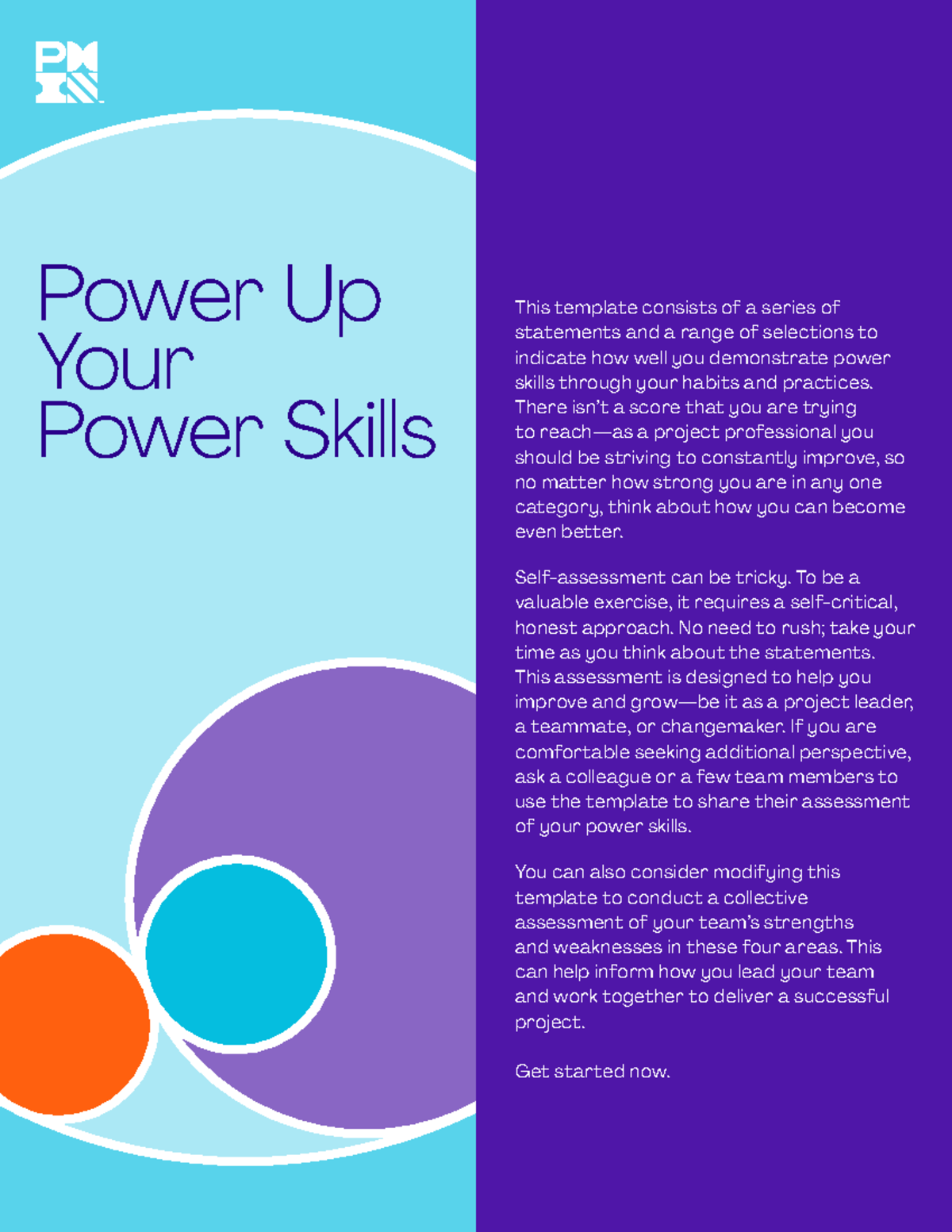 Power Skills Assessment Template - This template consists of a series ...