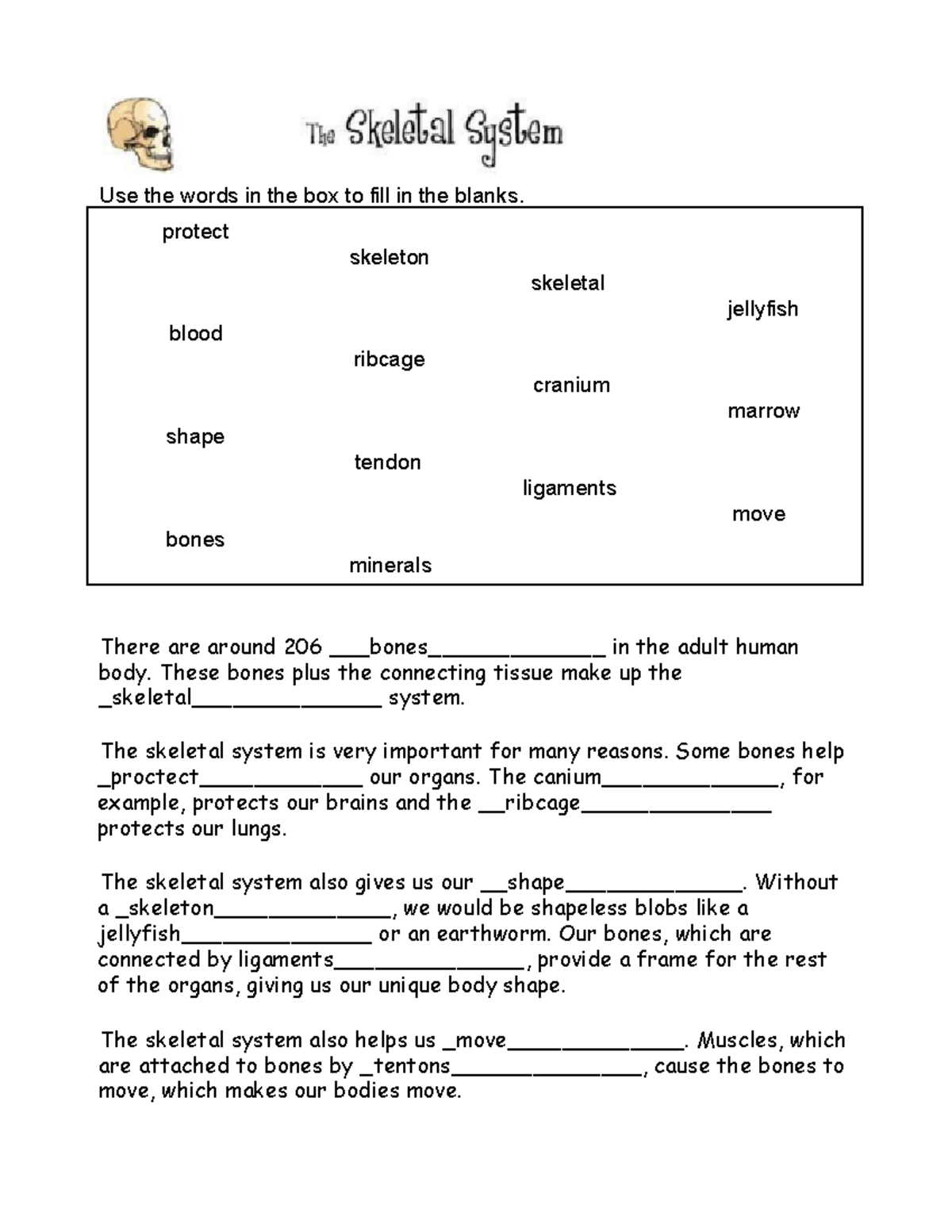 Skeletalsystem Cloze - bio notes human anatomy - Use the words in the ...