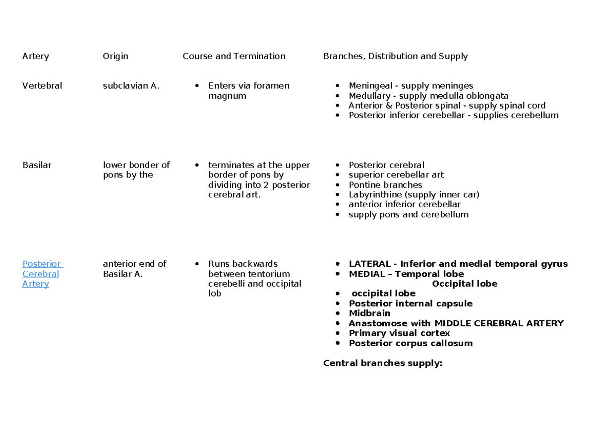 Artery Origin and Branches: Vertebral and Internal Carotid A. - Studocu