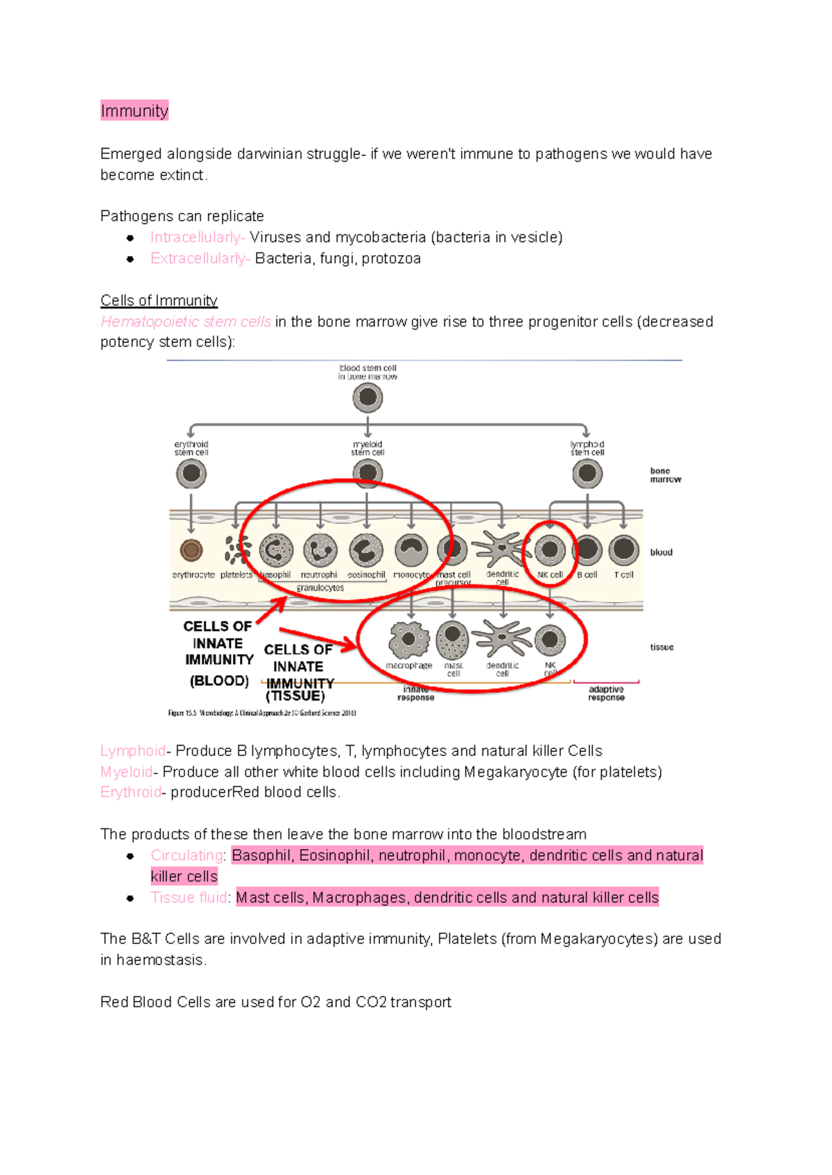 Lecture Notes: Immune System - Innate, Adaptive, and Complement ...