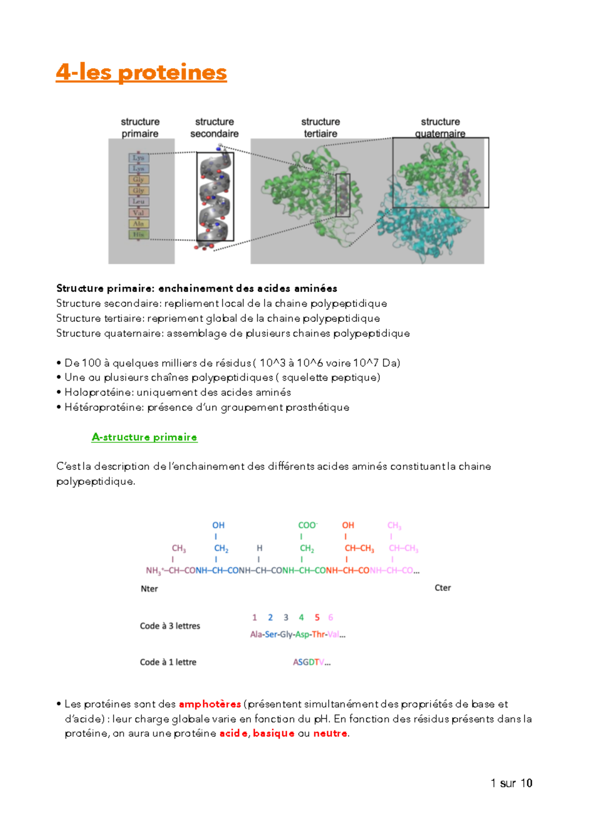 Les protéines - structure primaire, secondaire, tertiaire et ...