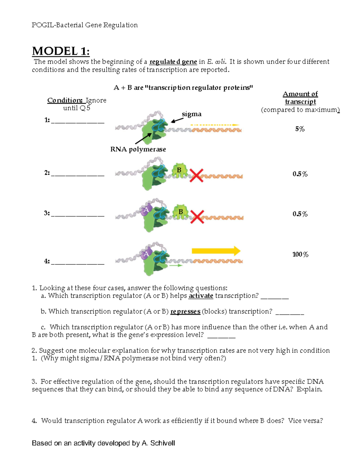 Bacterial Gene Reg W 25 - worksheet on gene reg - Based on an activity ...