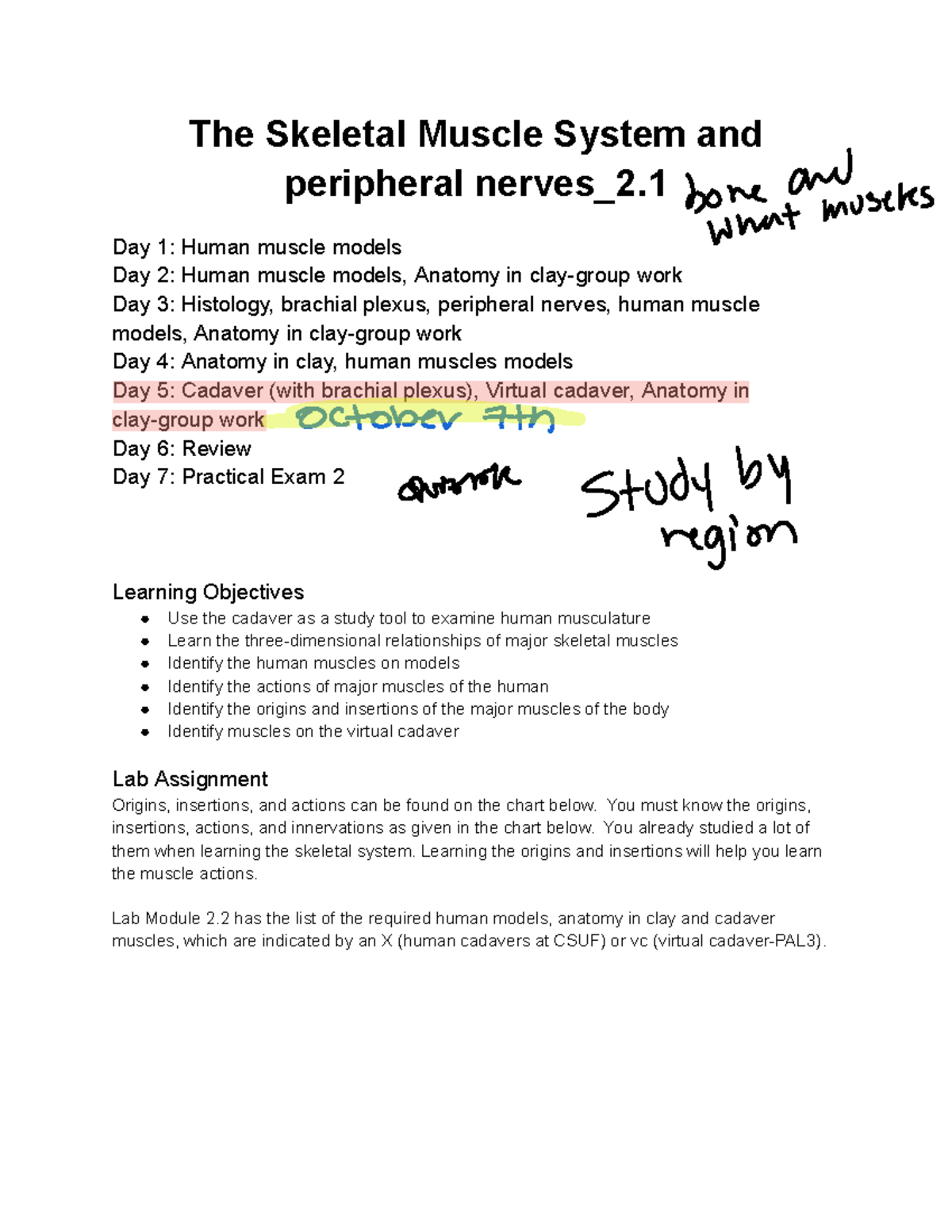 Skeletal Muscle System and Anatomy Lab Notes (Module 2.1) - Studocu