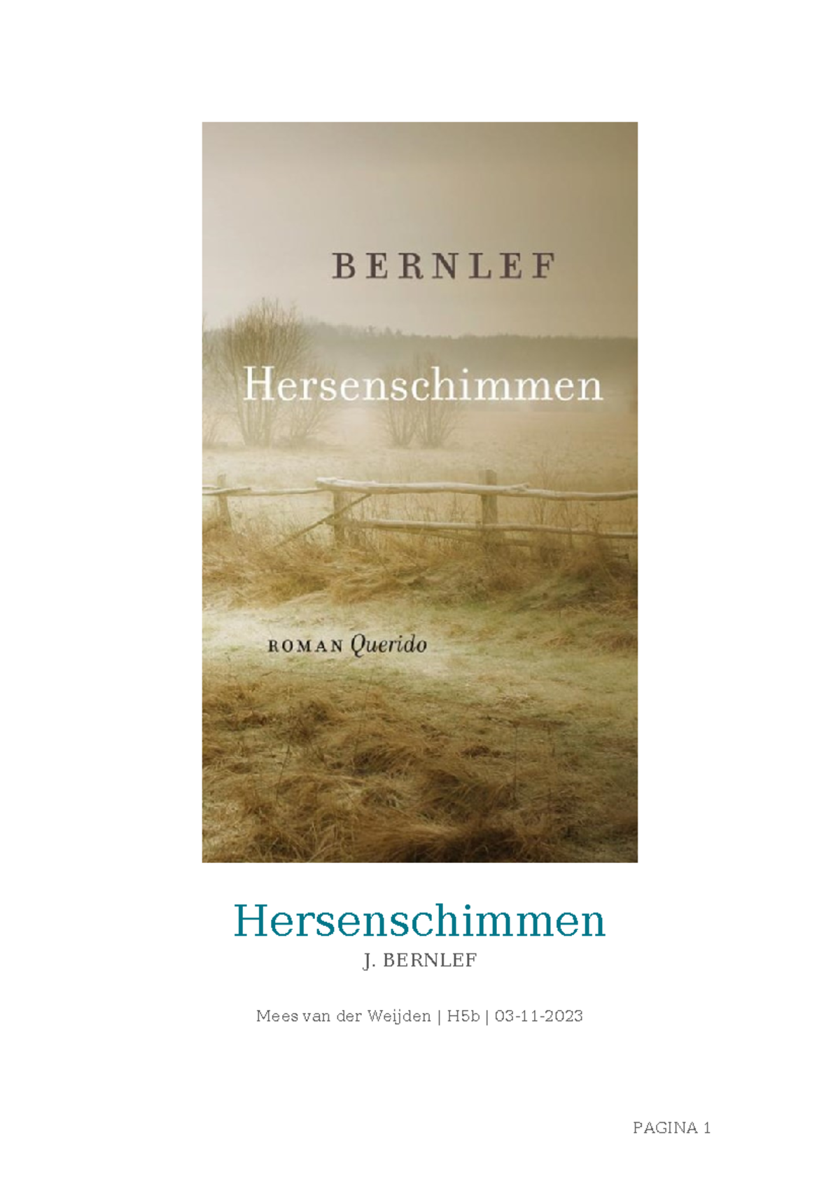 Hersenschimmen Boekverslag - J. Bernlef | H5b Samenvatting en ...
