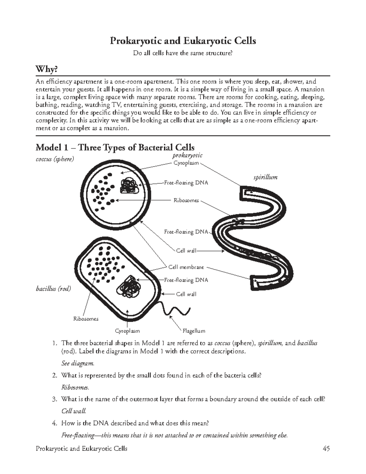 Prokaryotic and Eukaryotic Cells: Key Differences and Models - Studocu