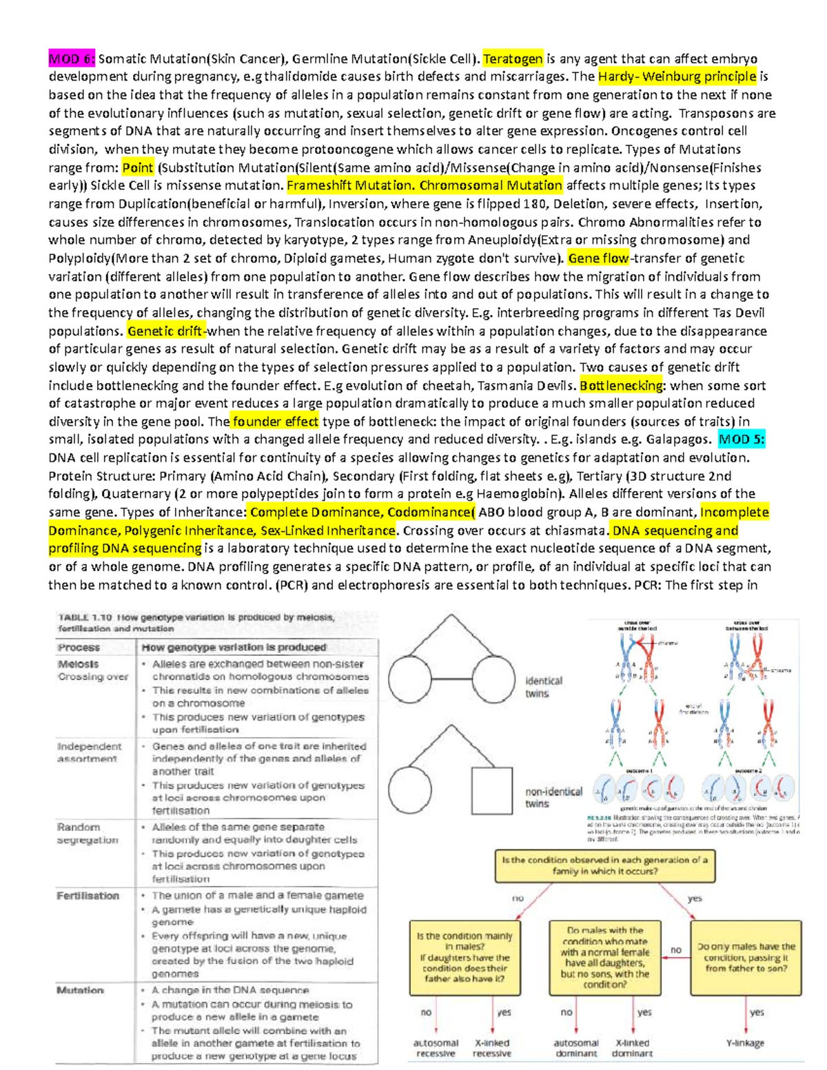 BIO Cheat Sheet: Mutations, Genetic Drift, and DNA Replication Insights ...