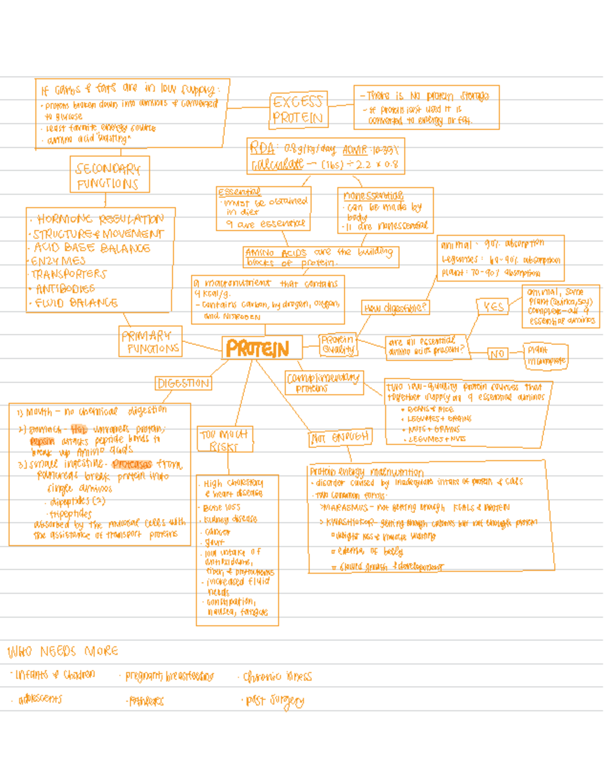 Protein Mind Map - ####### If ####### Garbs ####### ffats ####### arein ...