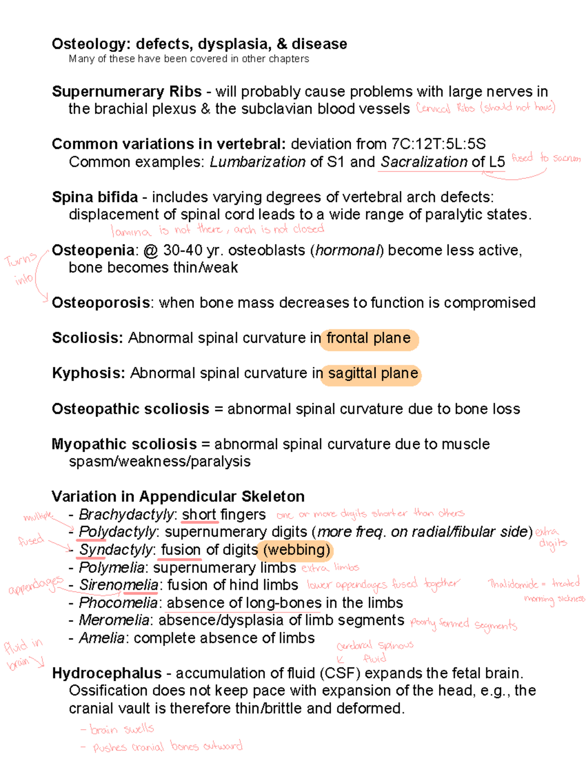 Osteology and Musculature: Essentials of Bone and Joint Structure (ANAT 101) - Studocu