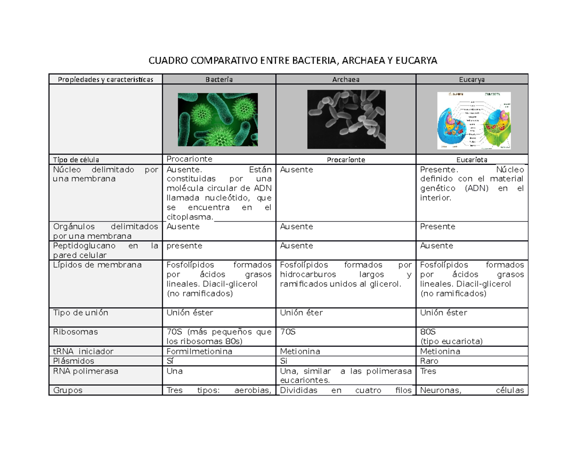 Cuadro Comparativo Virus Y Bacterias
