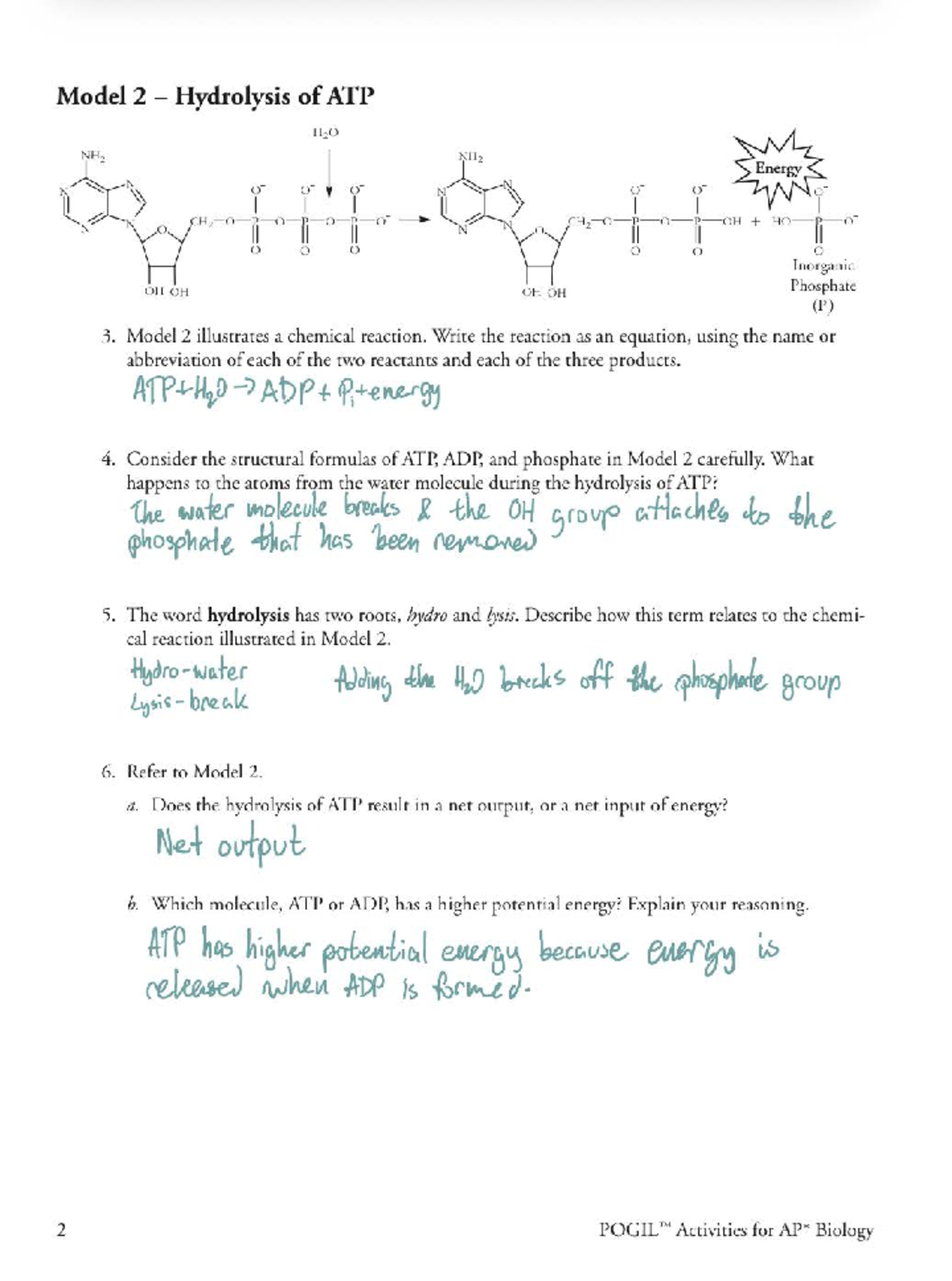 Model 2: Hydrolysis of ATP - Energy Release & Reaction Equation - Studocu