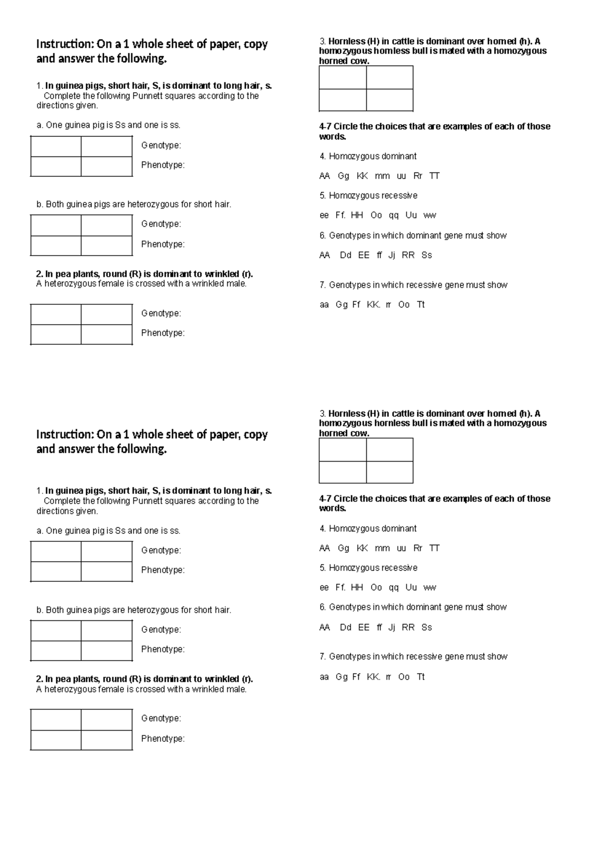 Punnett Square Activity: Genetics Practice for Biology 101 - Studocu