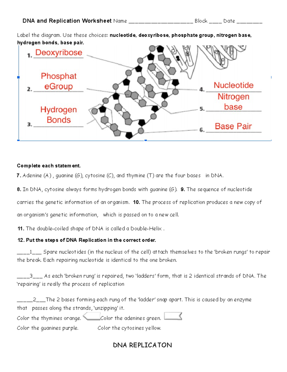 Dna And Replication Worksheet Label The Diagram