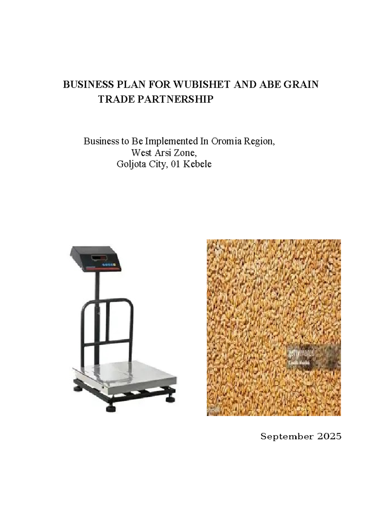 BUSINESS PLAN FOR WUBISHET & ABE GRAIN TRADE PARTNERSHIP (2025) - Studocu