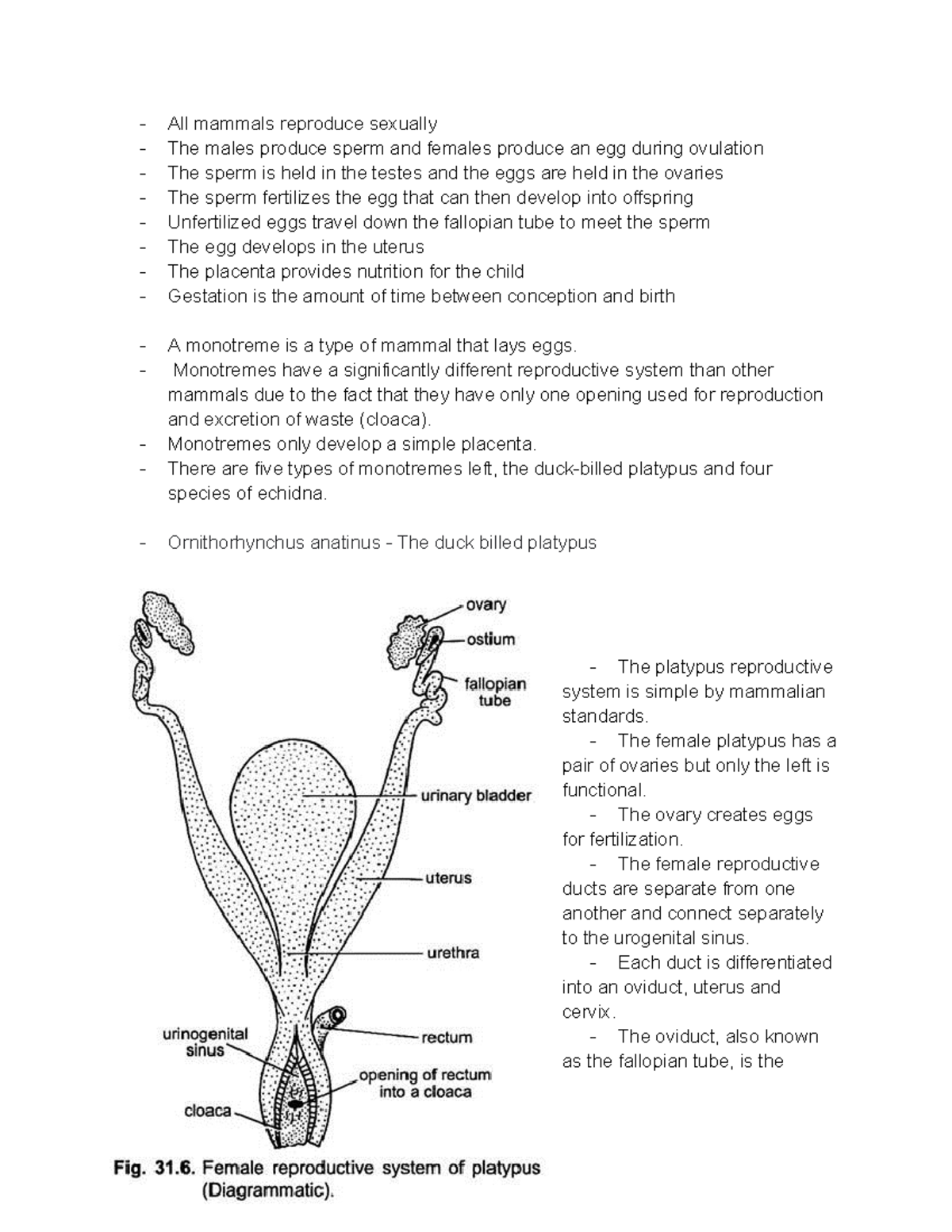Mammalian Reproductive Systems: Overview of Monotremes, Marsupials, and ...