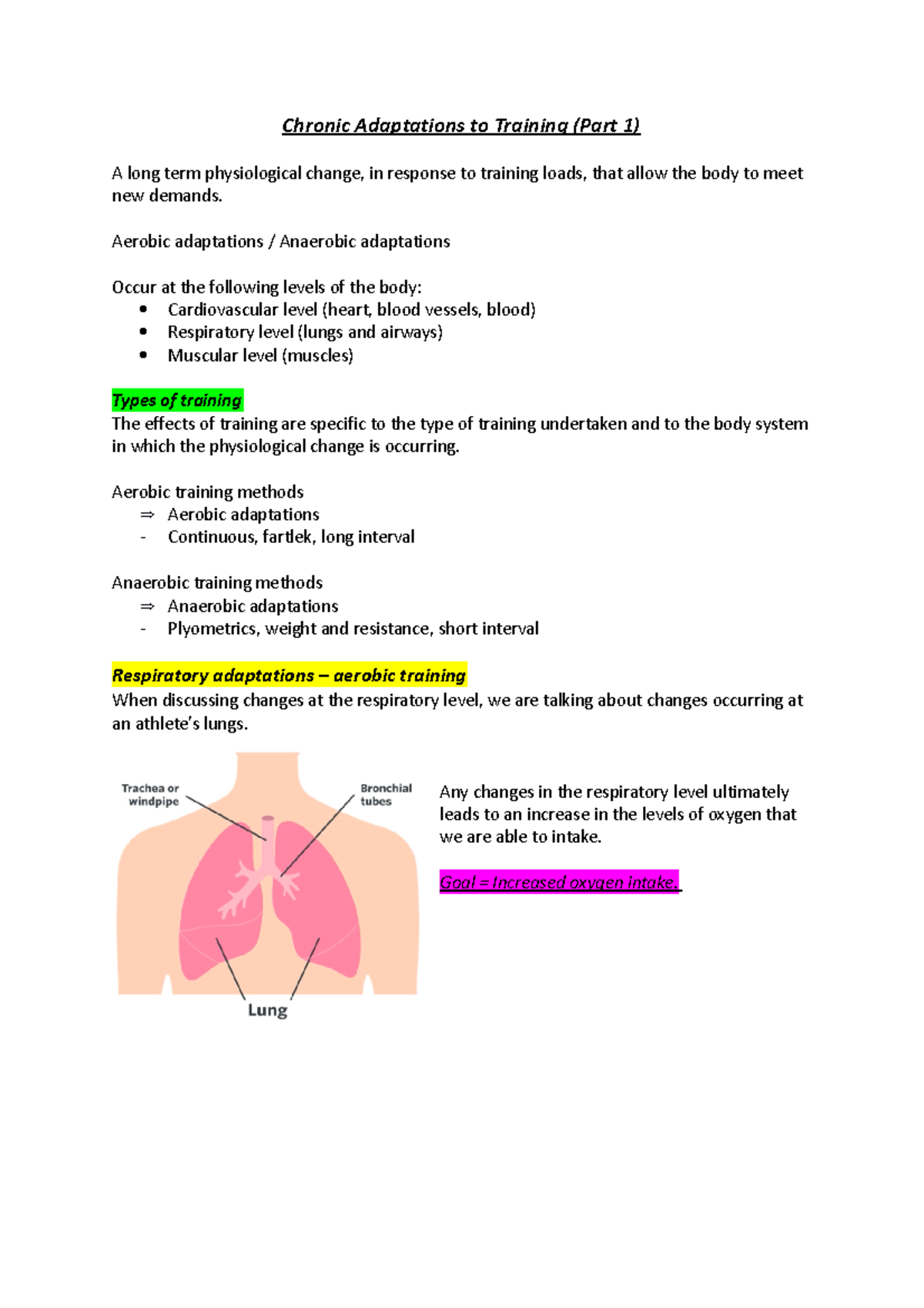 Chronic Adaptations to Training: Physiological Changes Explained - Studocu