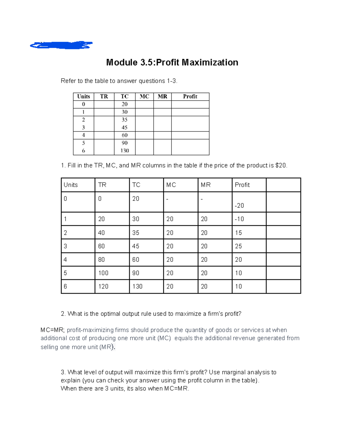 Copy of Module 3.5 Micro Worksheet - Name:Dora Li Module 3:Profit ...
