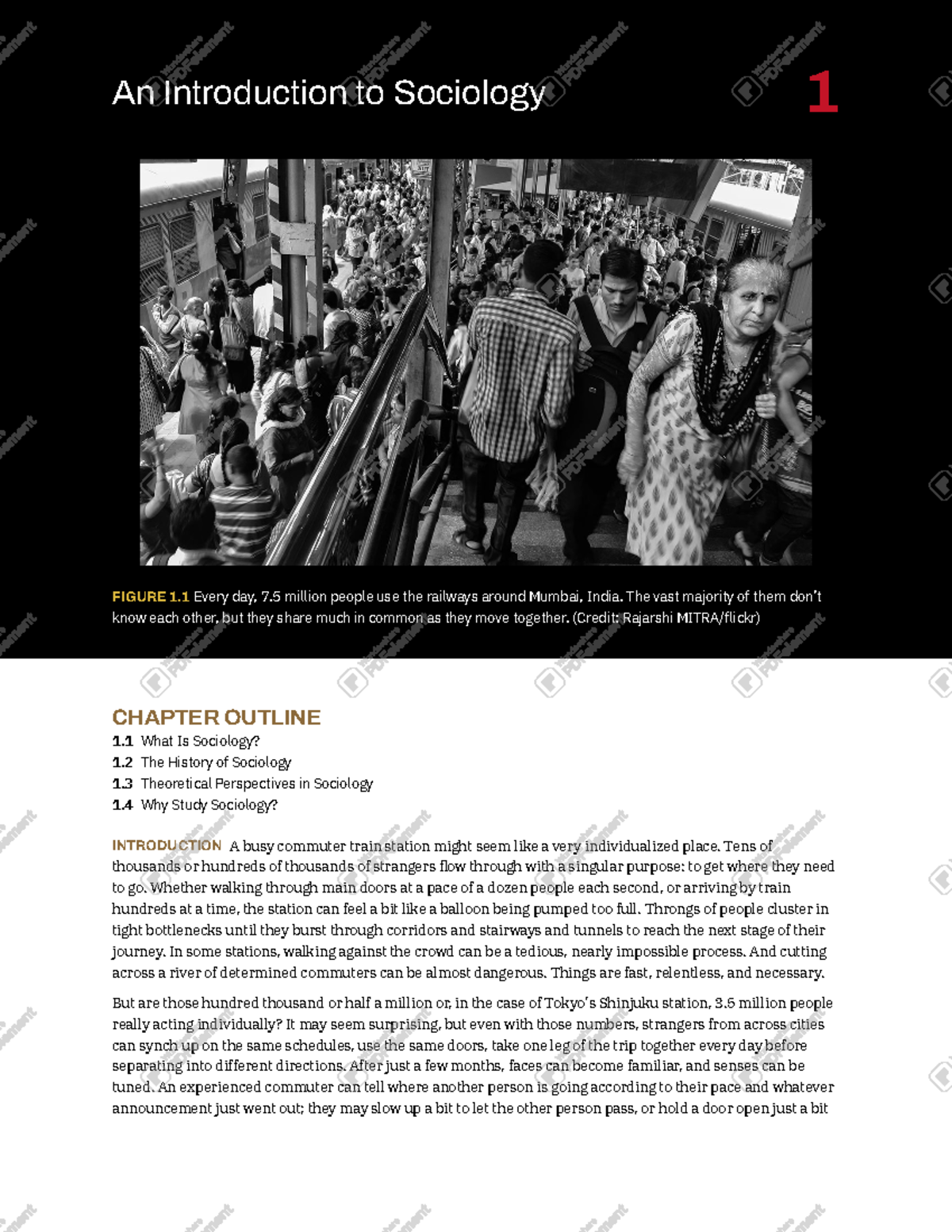 **Sociology 101: Exploring Social Interactions and Group Dynamics ...