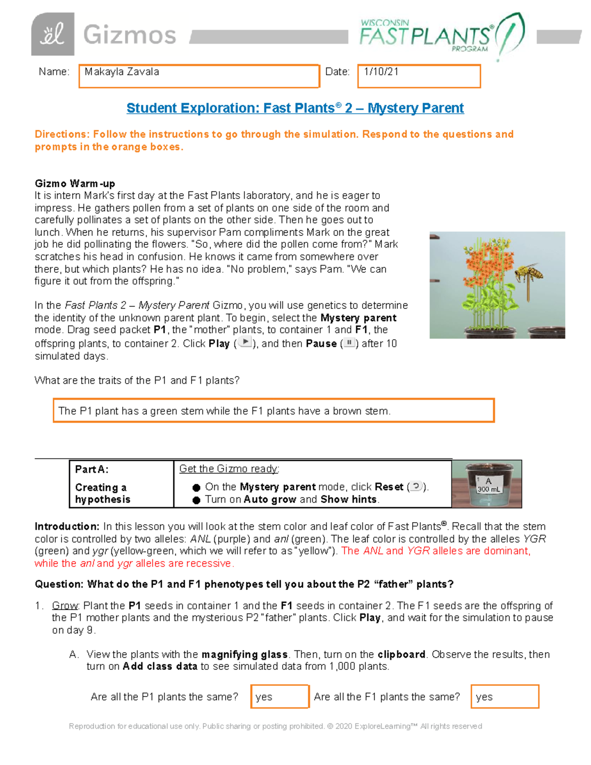 Biology 101: Fast Plants® Mystery Parent Exploration Notes - Studocu