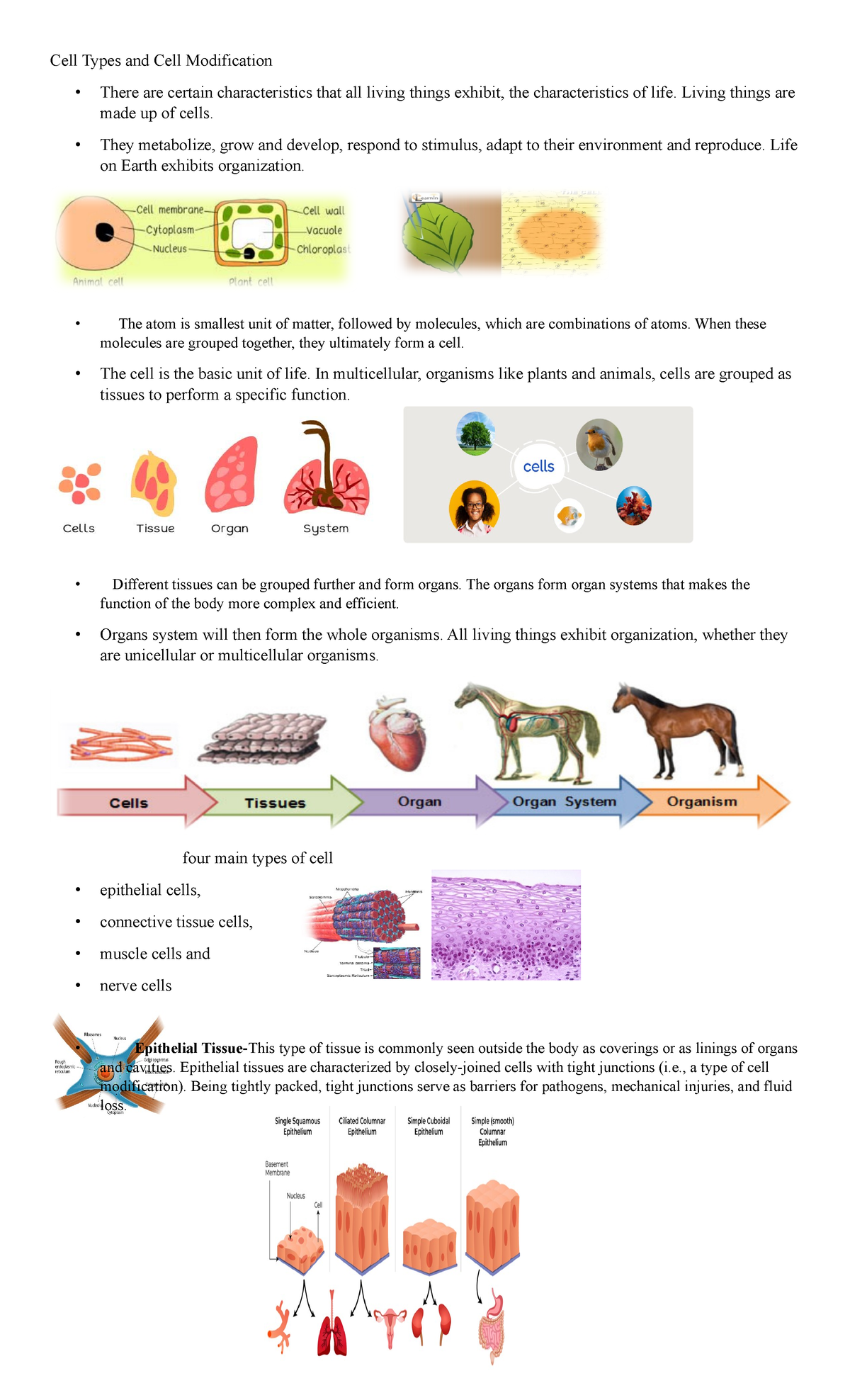Cell Types and Cell Modification - Living things are made up of cells ...