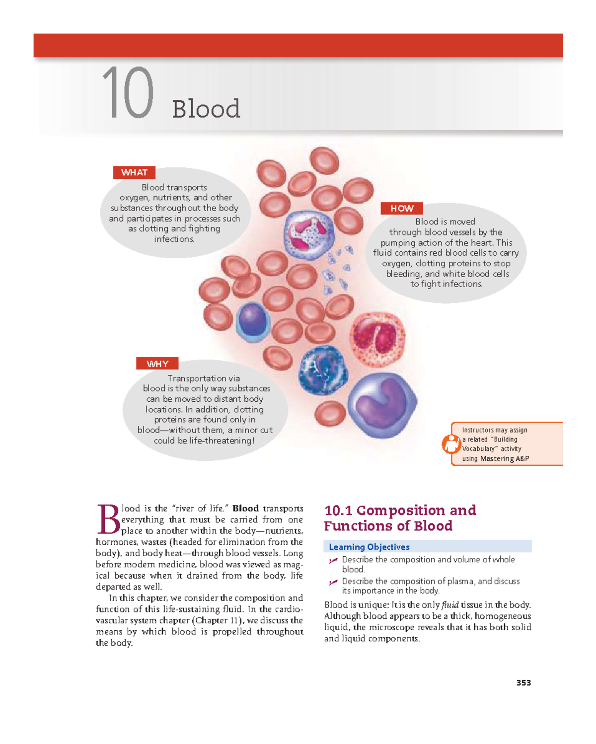 Human Anatomy & Physiology: Blood Components & Functions (M10_MARI1942 ...