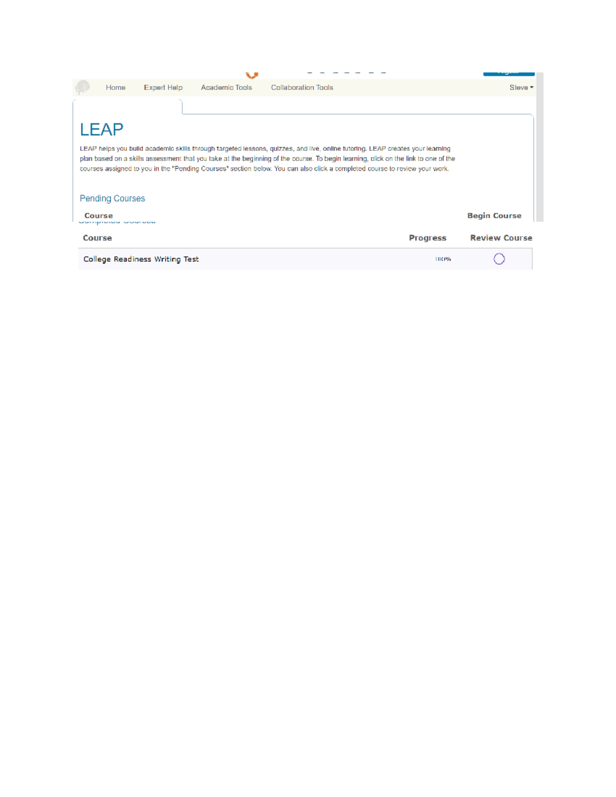 Project #6 - Explains what Leap is - Home Expert Help Academic Tools ...