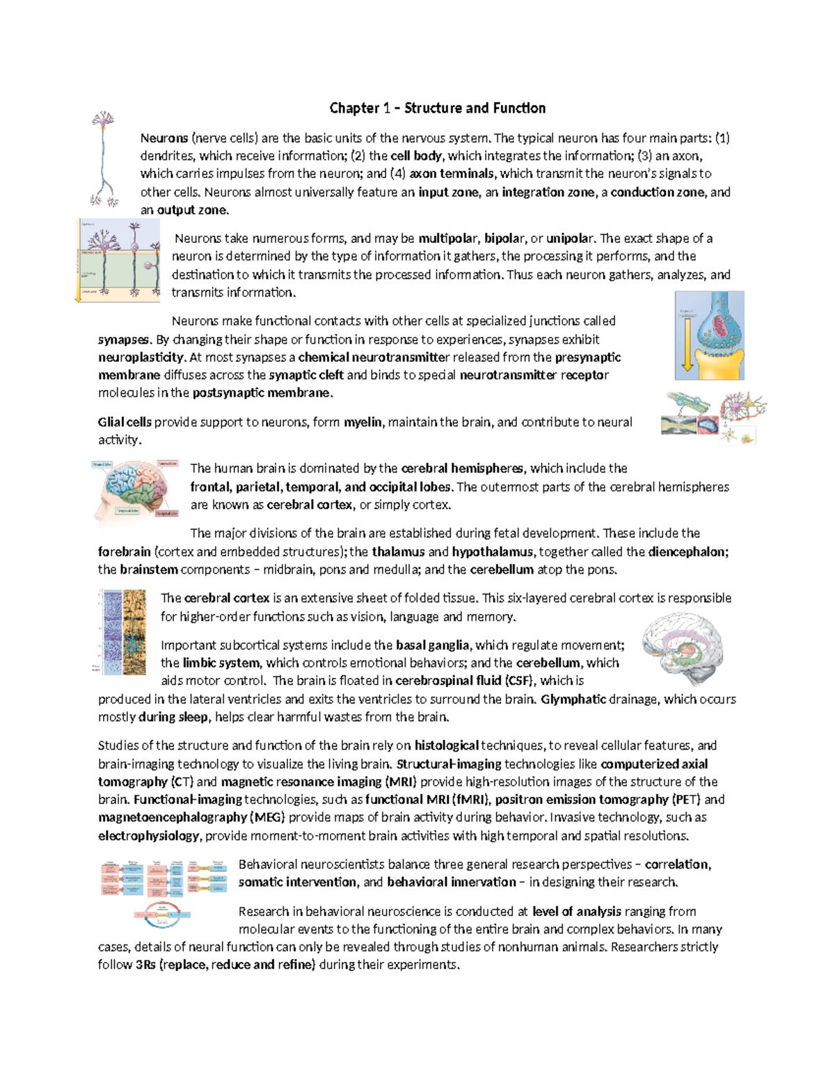 Class 1 - Structure & Function of Neurons and the Brain - Studocu
