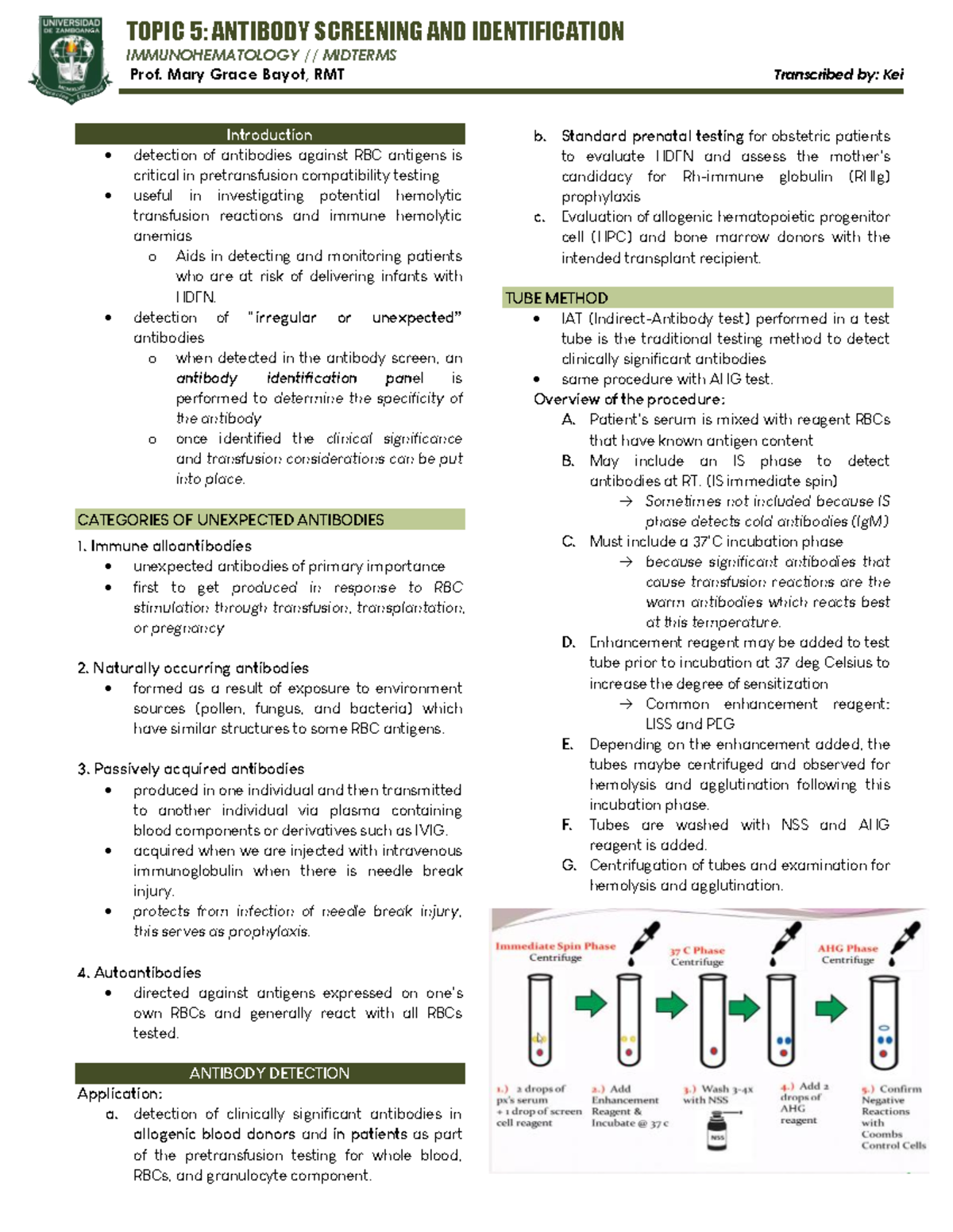 Antibody Screening & Detection ( Outline) - IMMUNOHEMATOLOGY ...