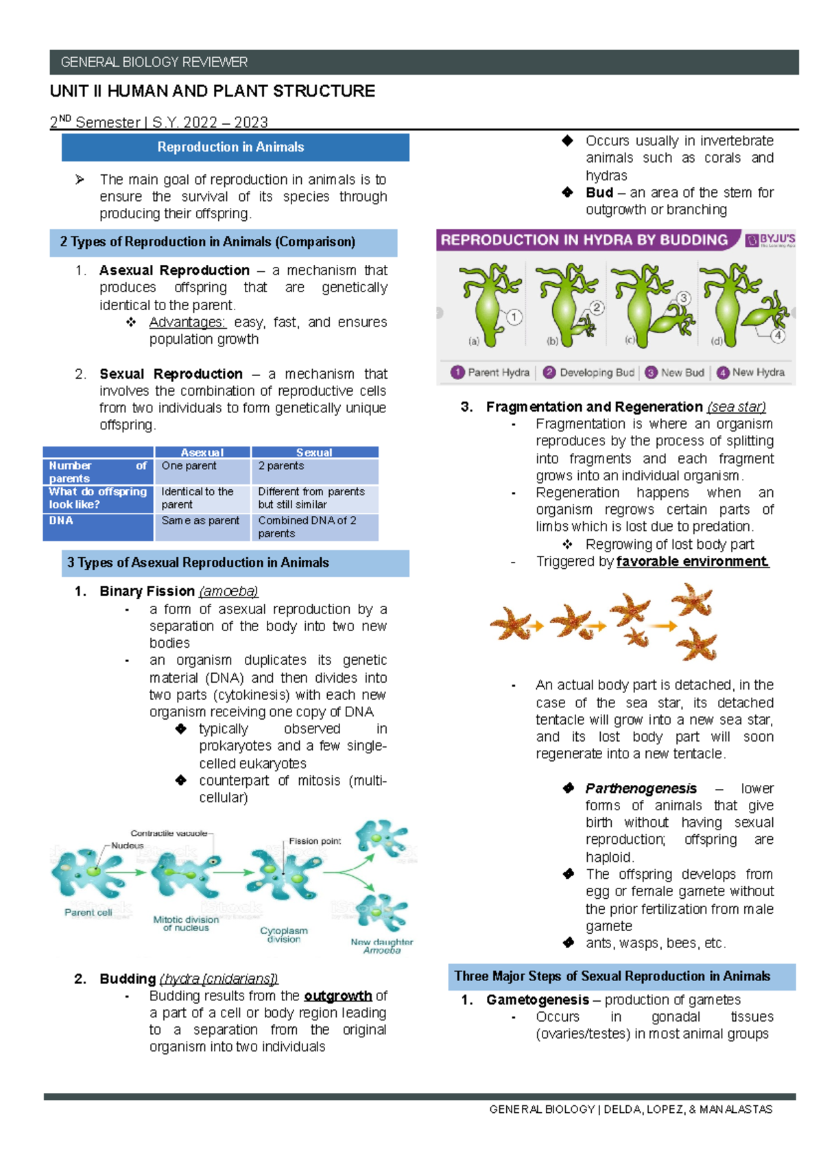 Gen Bio Lesson 9 & 10: Reprod. & Support Systems in Plants & Animals ...