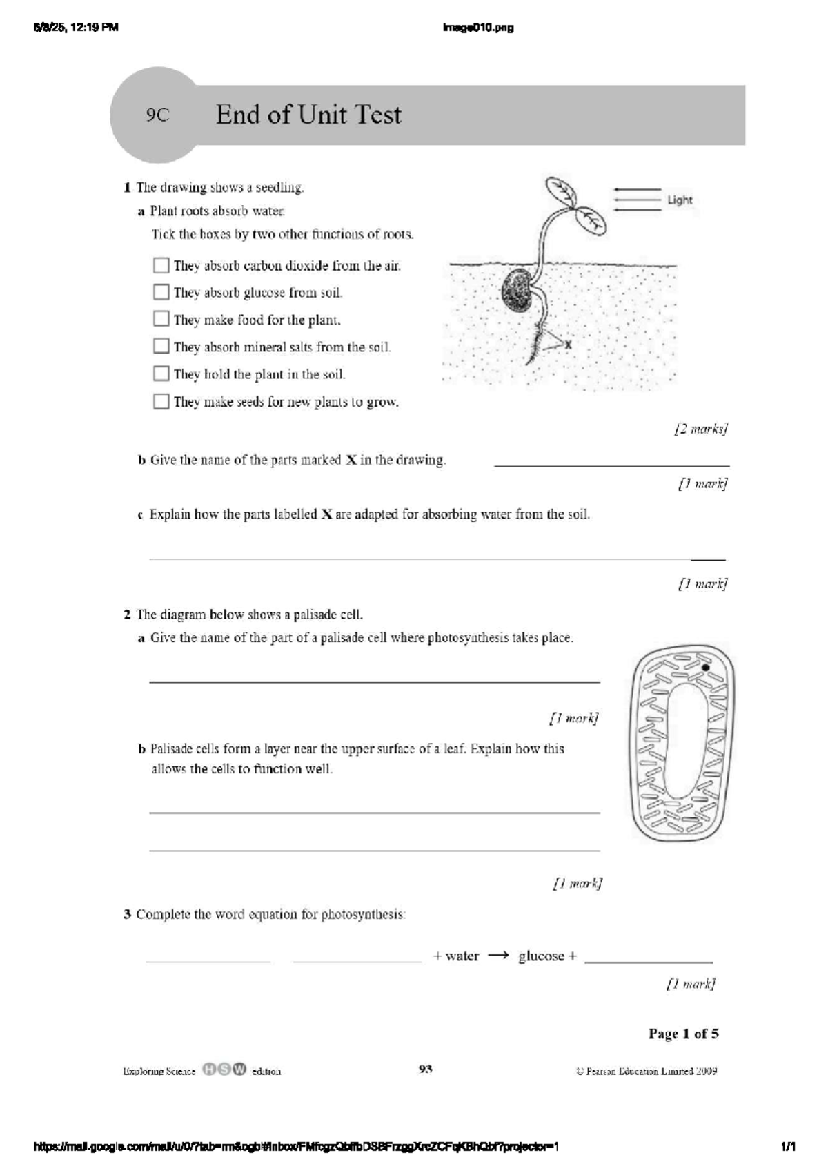 9C End of Unit Test 1: Plant Functions & Photosynthesis Overview - Studocu