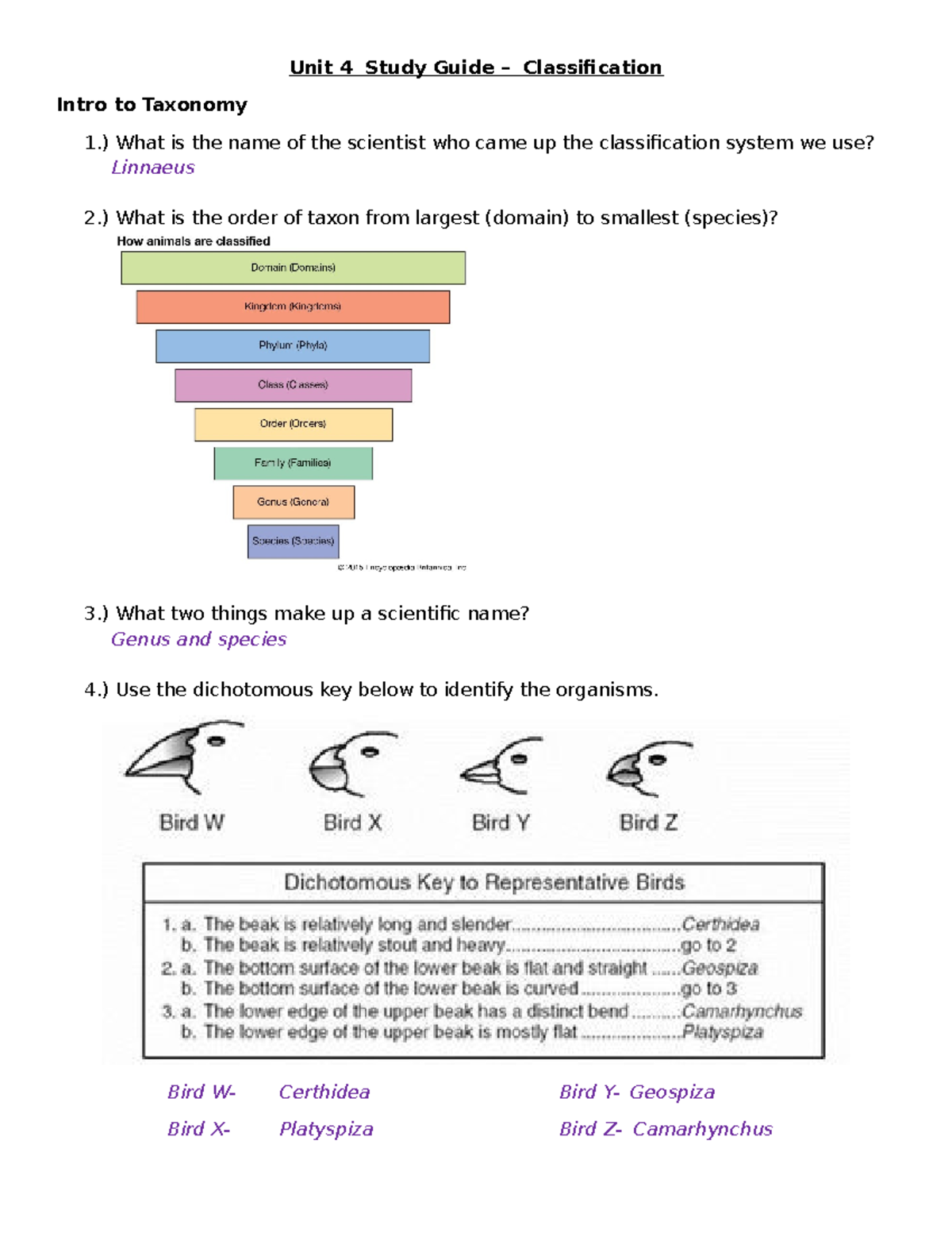 Unit 4 Study Guide: Classification, Taxonomy & Viruses (Biology 101 ...