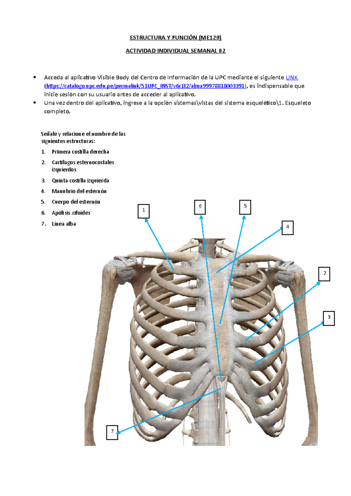 ME129 Ey F Tarea Sem02 22 - ESTRUCTURA Y FUNCIÓN (ME129) ACTIVIDAD ...