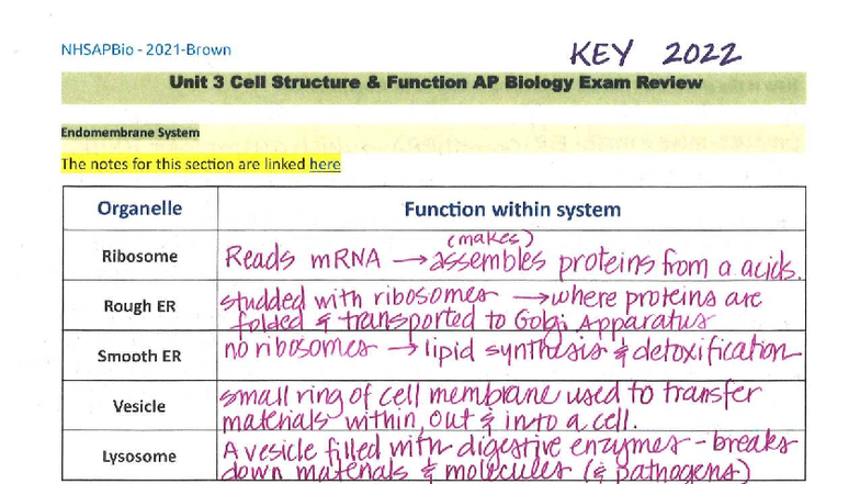 NHSAPBio Exam Review 2022: Unit 3 Cell Structure & Function Key - Studocu