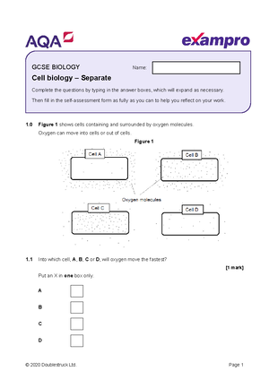 B7 Non Communicable Diseases - end of unit test higher - diseases Exam ...