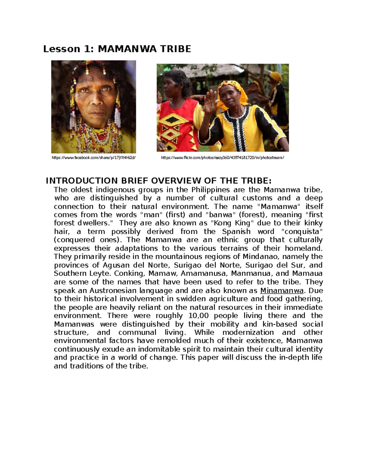 MAMANWA TRIBE: A Comprehensive Overview of Culture and Traditions - Studocu