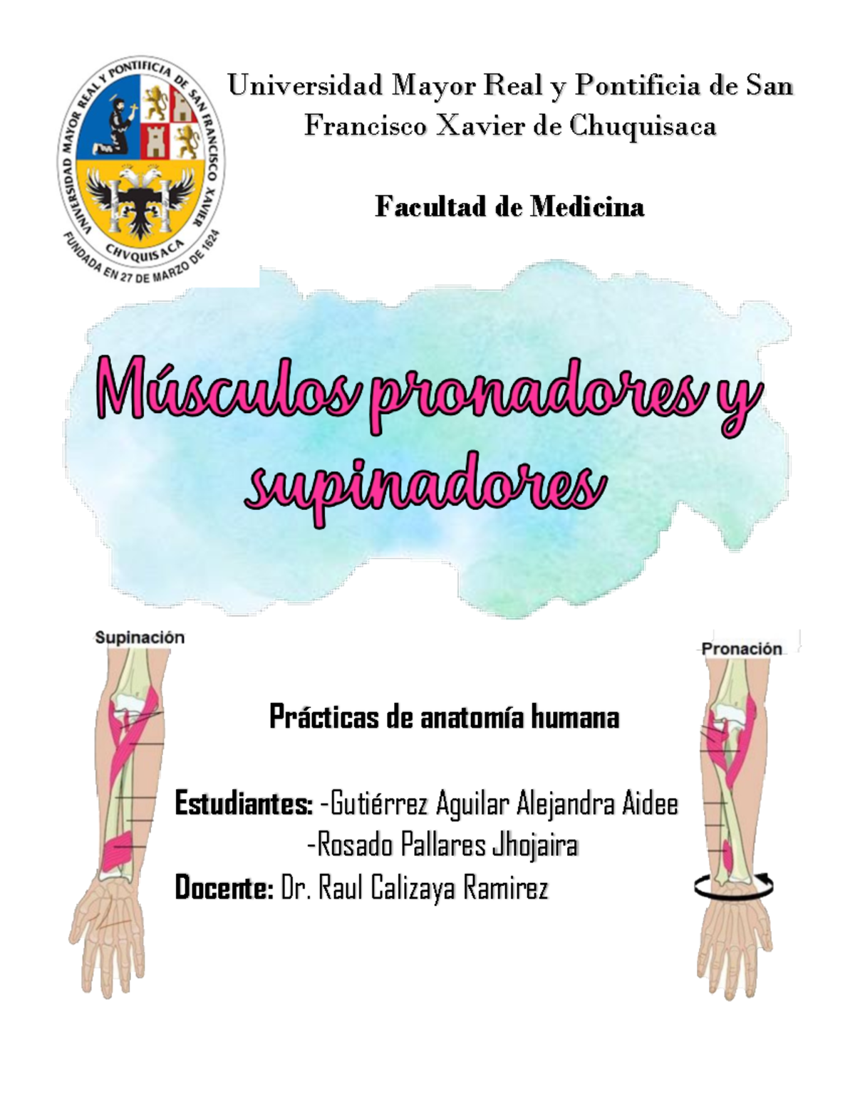 Músculos Pronadores y Supinadores: Anatomía y Funciones en Medicina ...