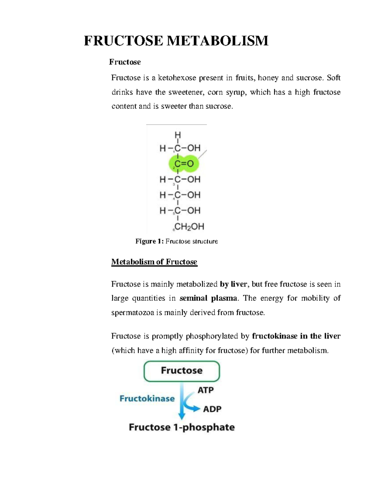 FRUCTOSE METABOLISM: Insights into Biochemistry and Disorders - Studocu