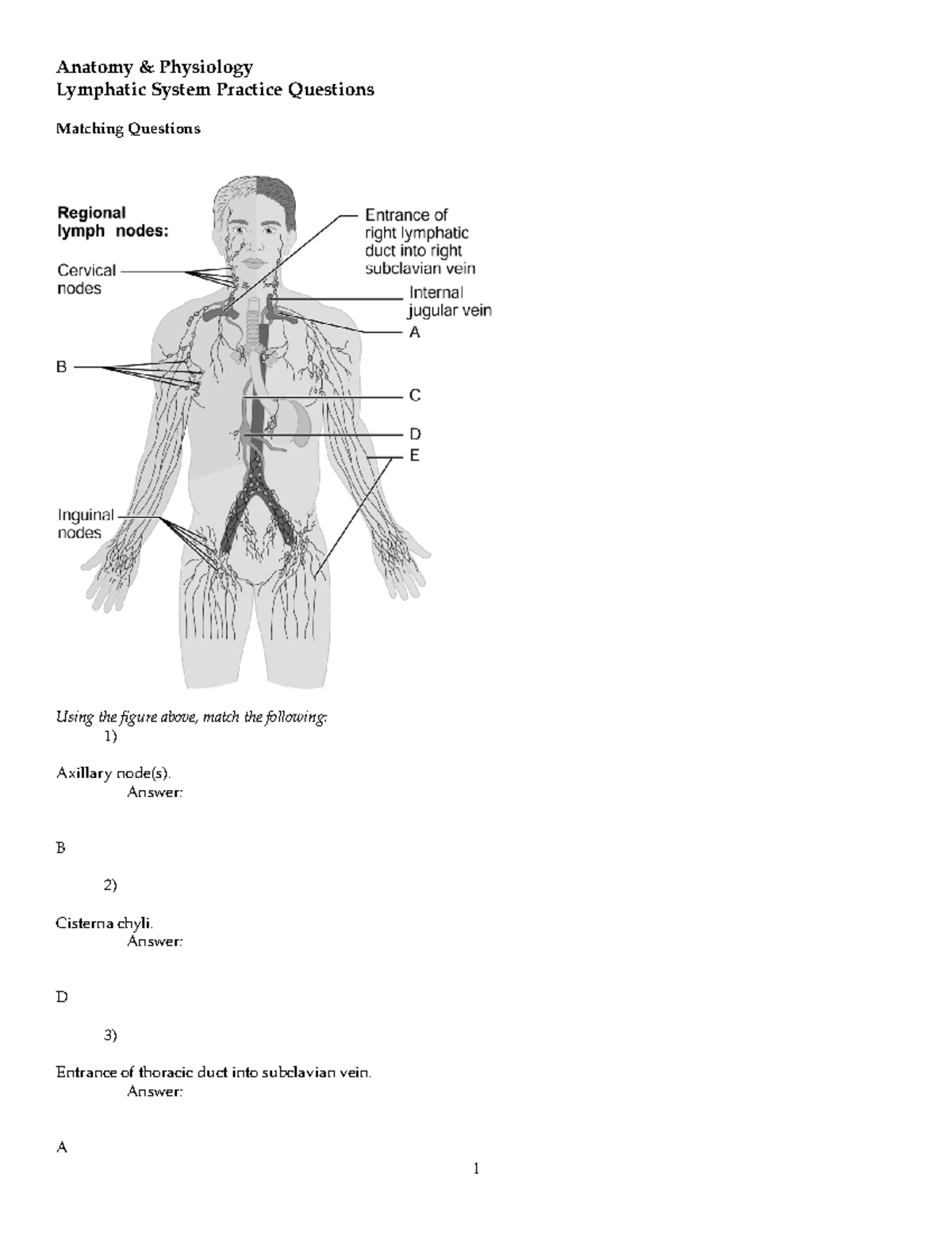 Lymphatic Test Bank - Exam review- questions with answers - Anatomy ...