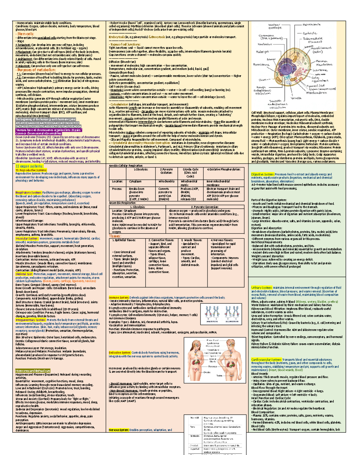 BIOL1210 Comprehensive Study Cheat Sheet on Homeostasis & Cells - Studocu