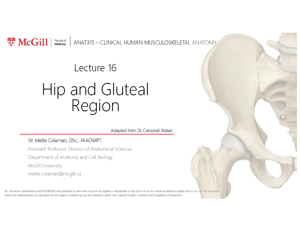 ANAT315 F2025 Lecture 16: Hip and Gluteal Region Overview - Studocu