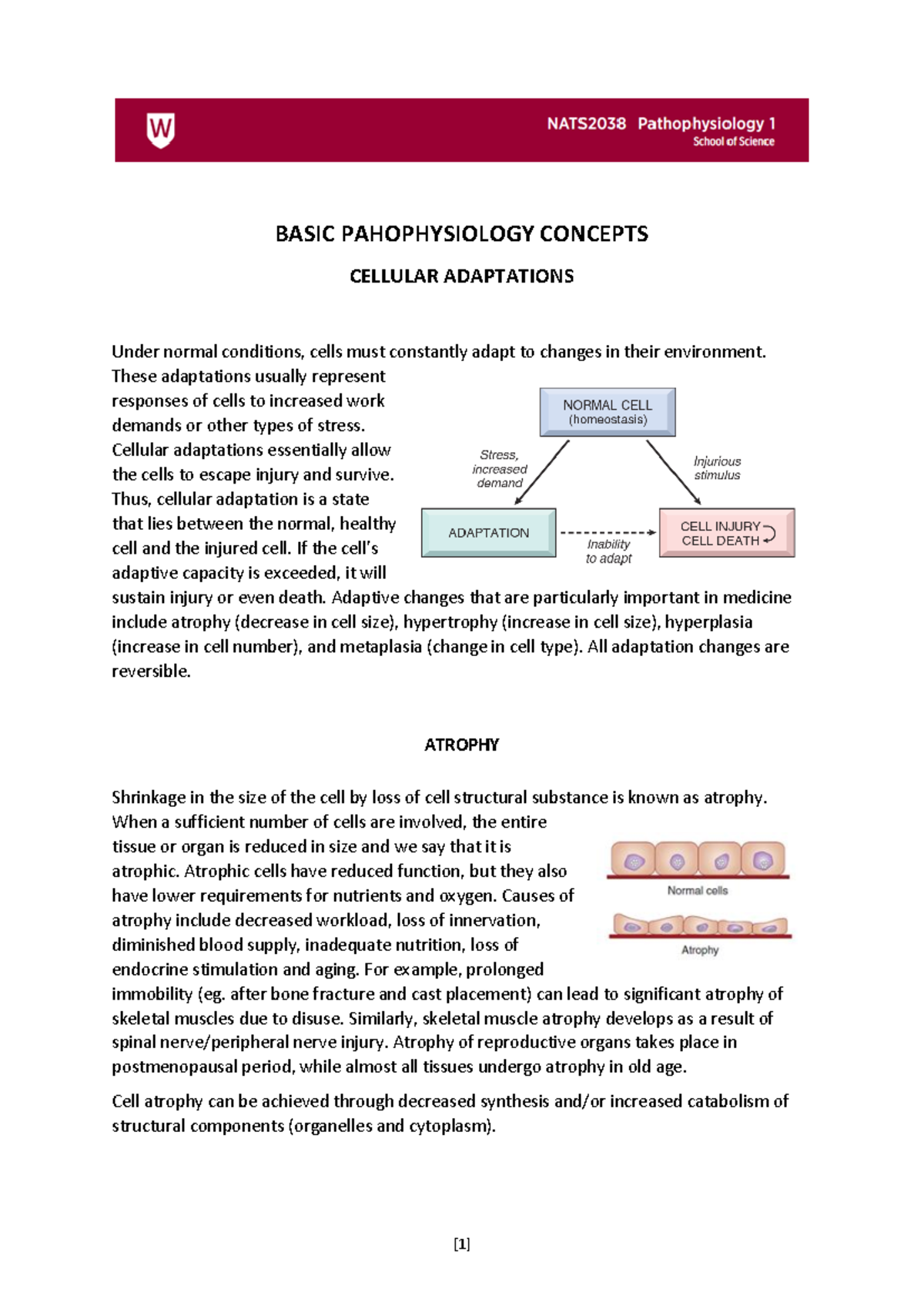 Basic pathophysiology concepts notes pathophysiology 1 - BASIC ...