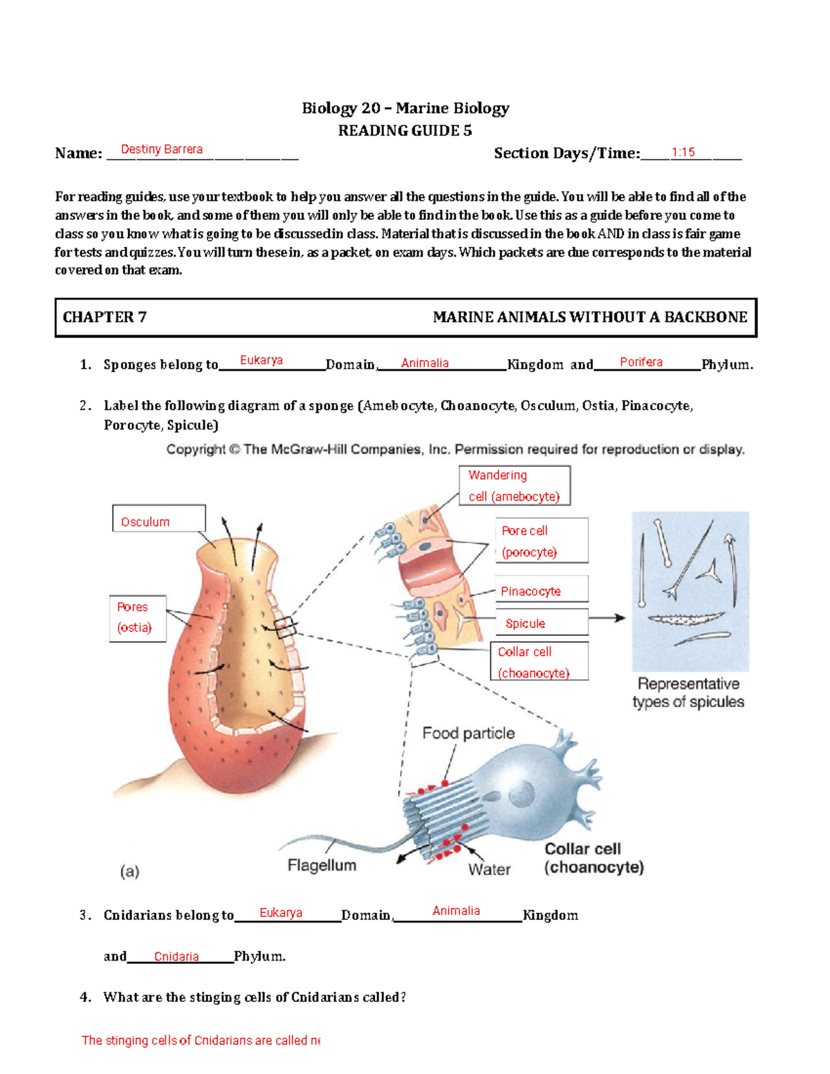 Biology 20 Marine Biology: Reading Guide 5 on Marine Invertebrates ...