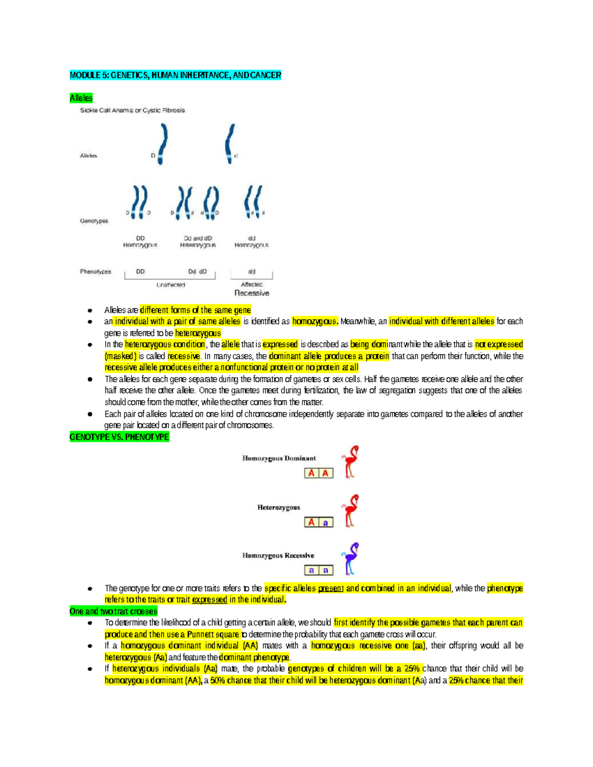 HMBY Module 5: Genetics, Human Inheritance, and Cancer Overview - Studocu