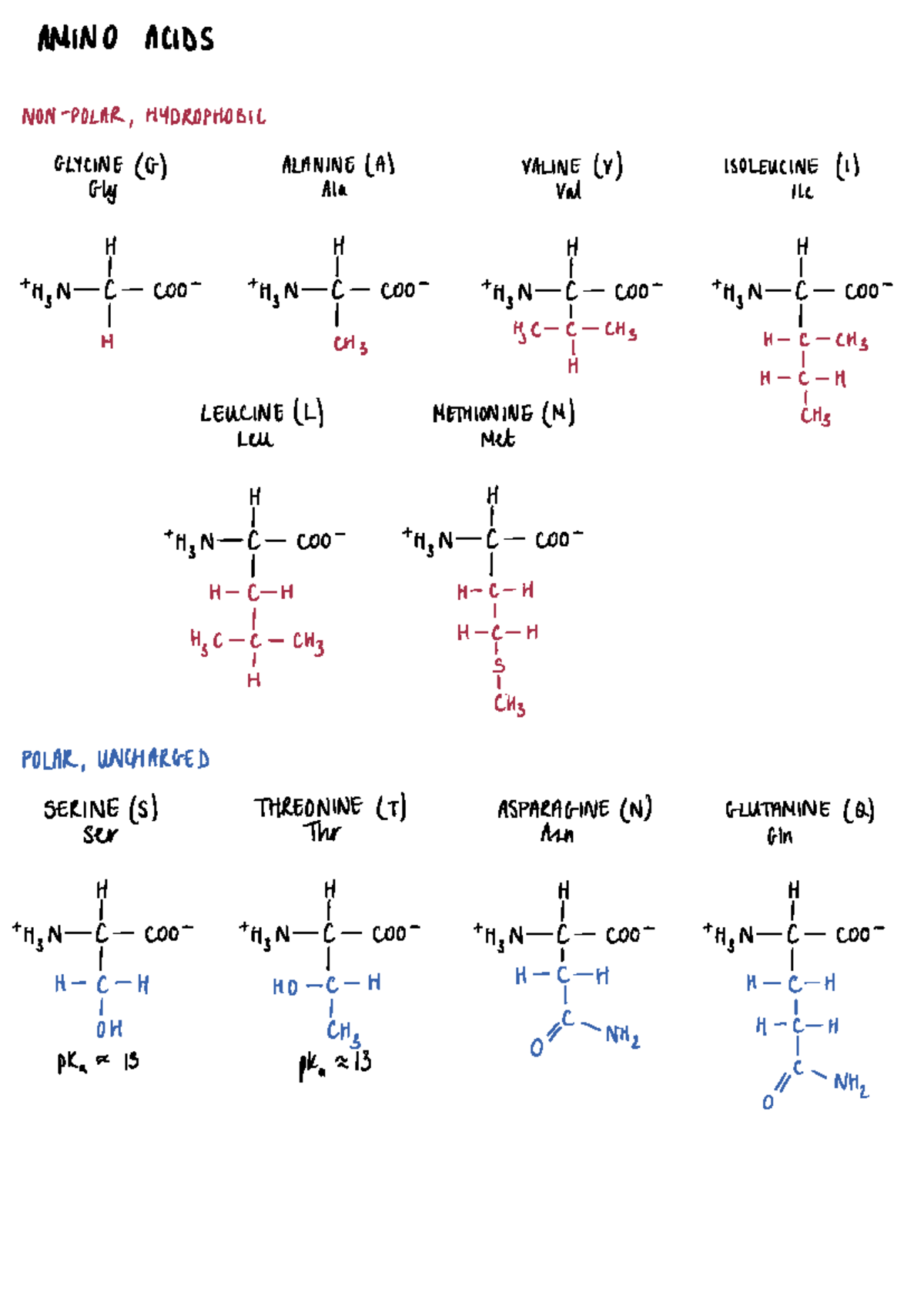 Amino acid summary for biology 101: structure and properties - Studocu