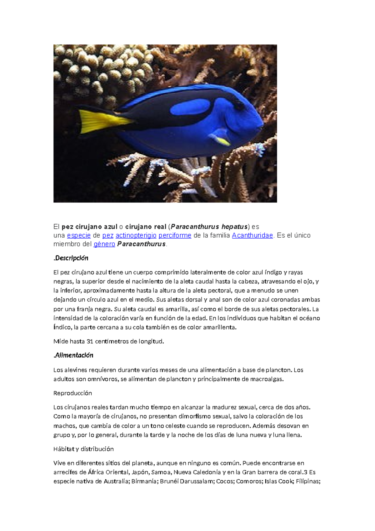 Datos del Pez Cirujano Azul - El pez cirujano azul o cirujano real ...