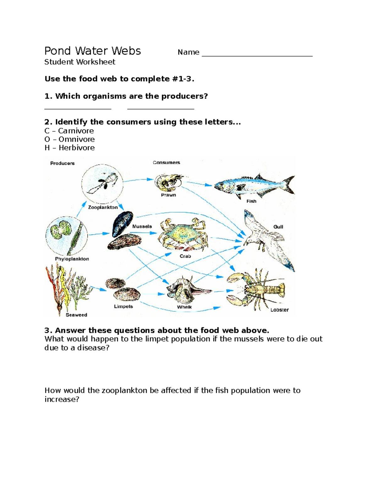 Pond Water Webs student worksheet - Pond Water Webs Name ...