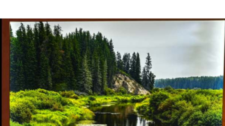 Boreal Shield Ecosystem Overview - BIOL 101 Lab Notes - Studocu