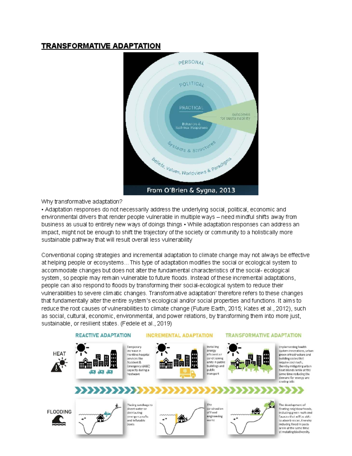 EGS W12 Lecture Notes: Transformative Adaptation Strategies - Studocu