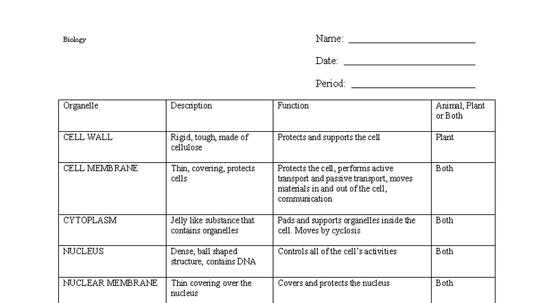 Cell Organelles Review: Functions & Analogies in Biology - Studocu