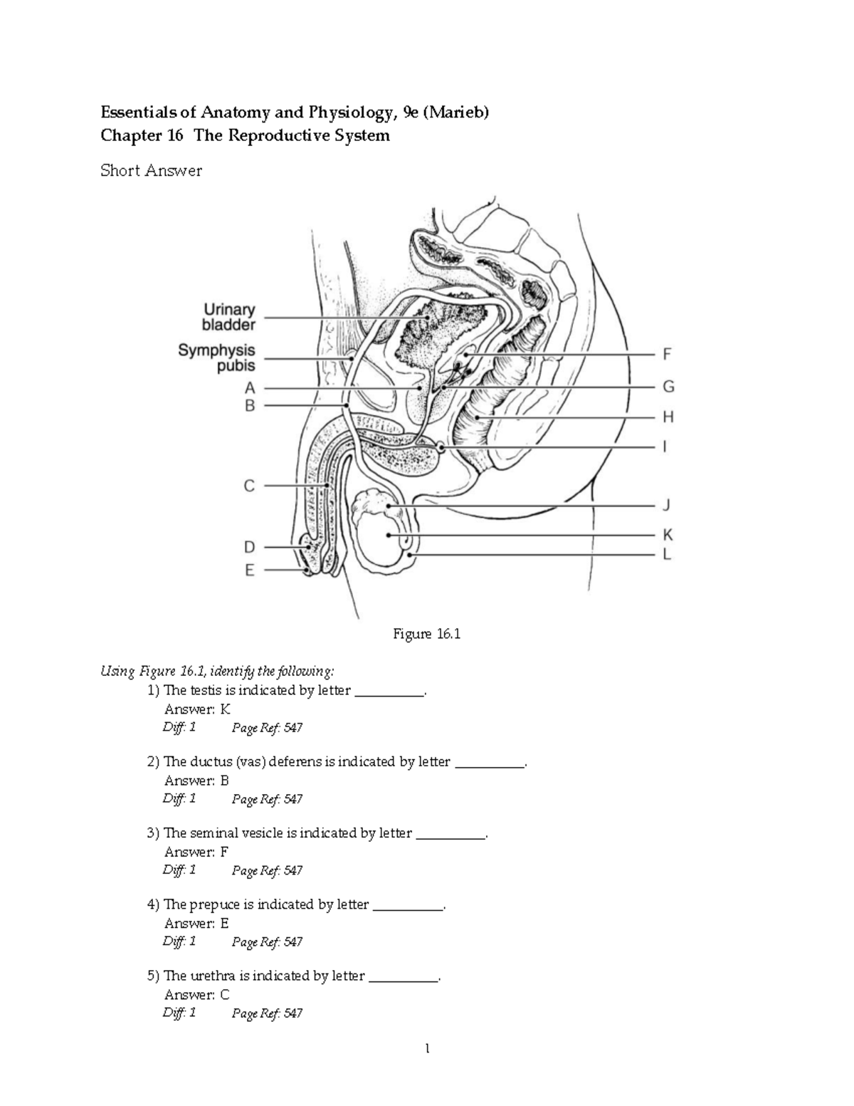 Chapter 16 - Reproductive System Overview and Key Concepts - Studocu