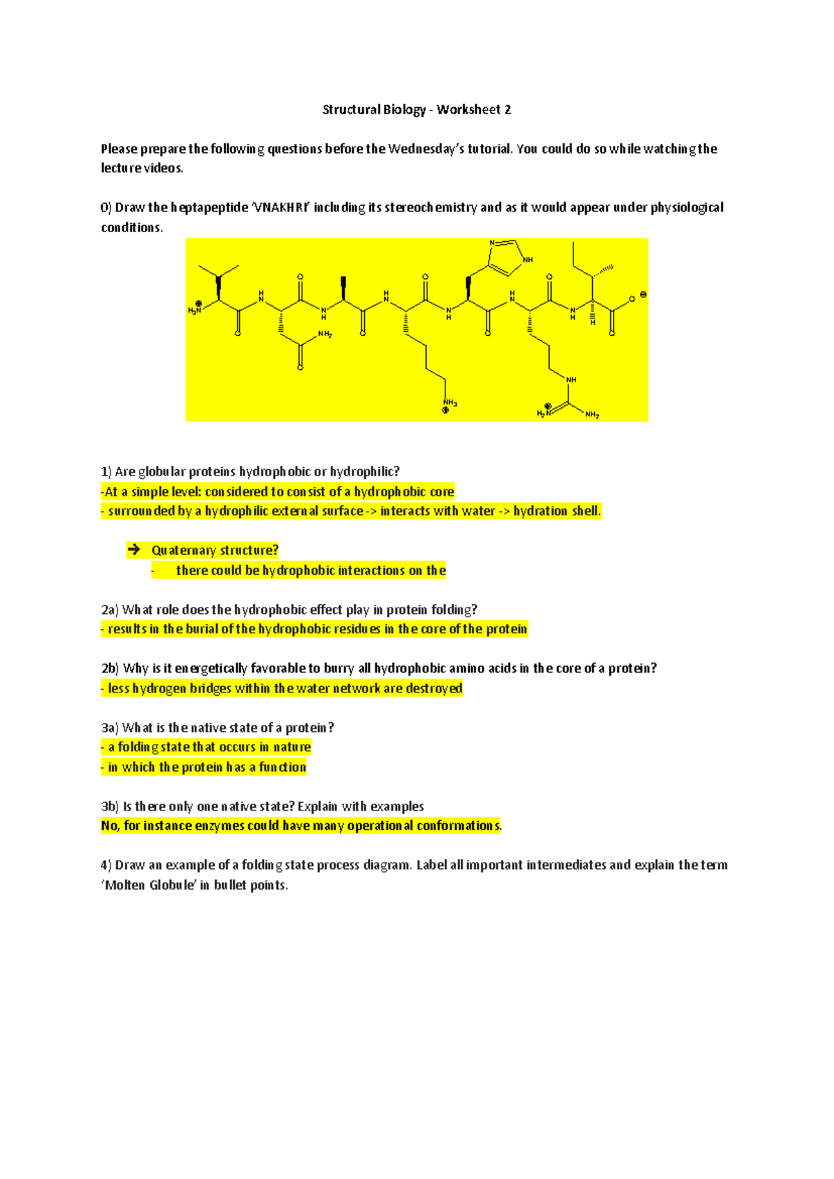 SB Worksheet 2 solutions - Structural Biology - Worksheet 2 Please ...